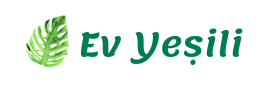 Ev Yesili (2) – ev yeşili